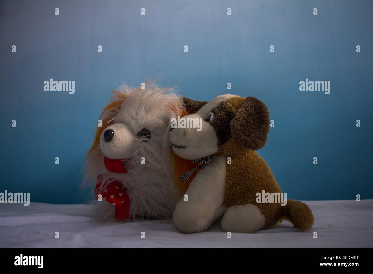 Two stuffed dogs together Stock Photo - Alamy