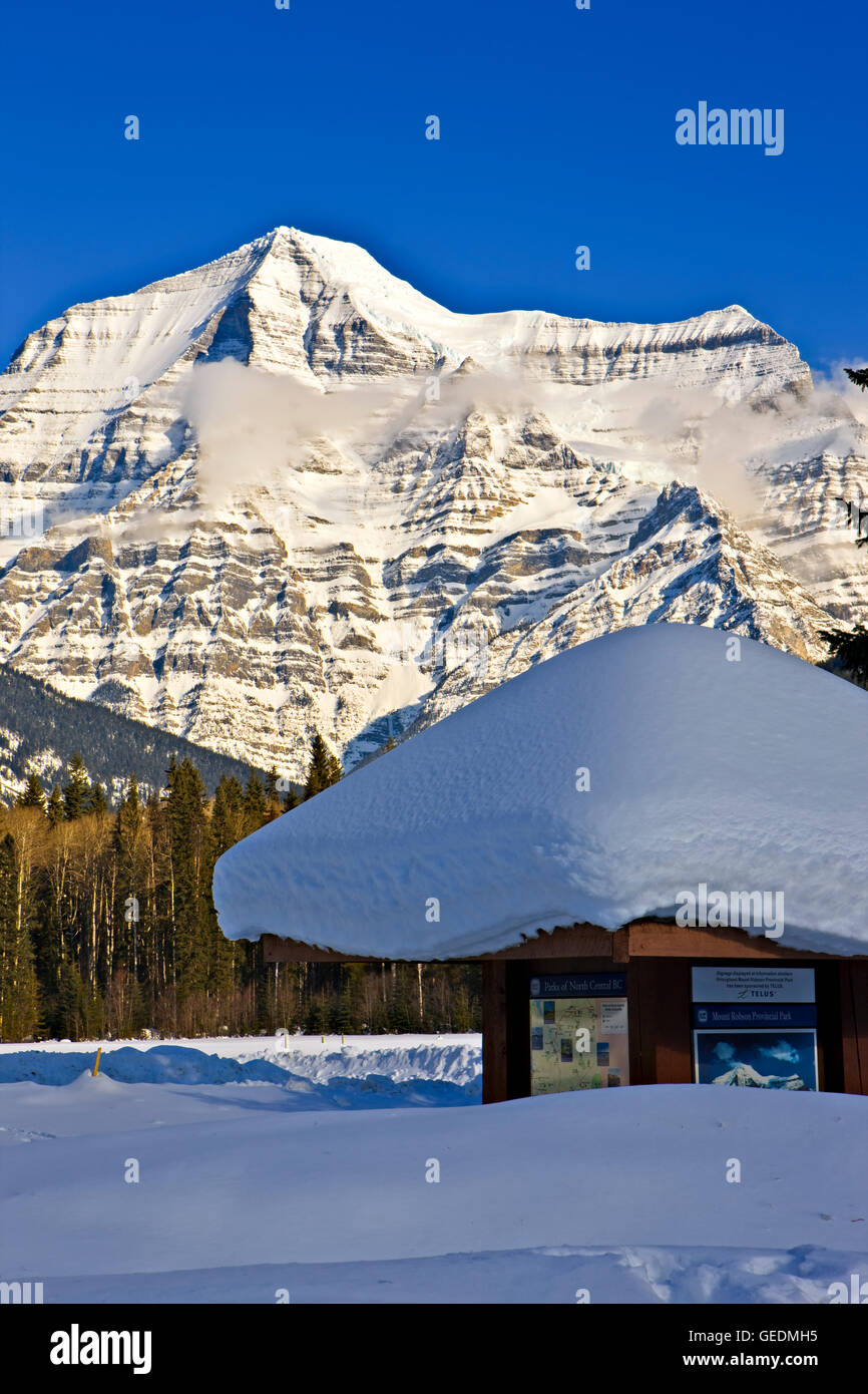 Tete jaune cache canada hi-res stock photography and images - Alamy