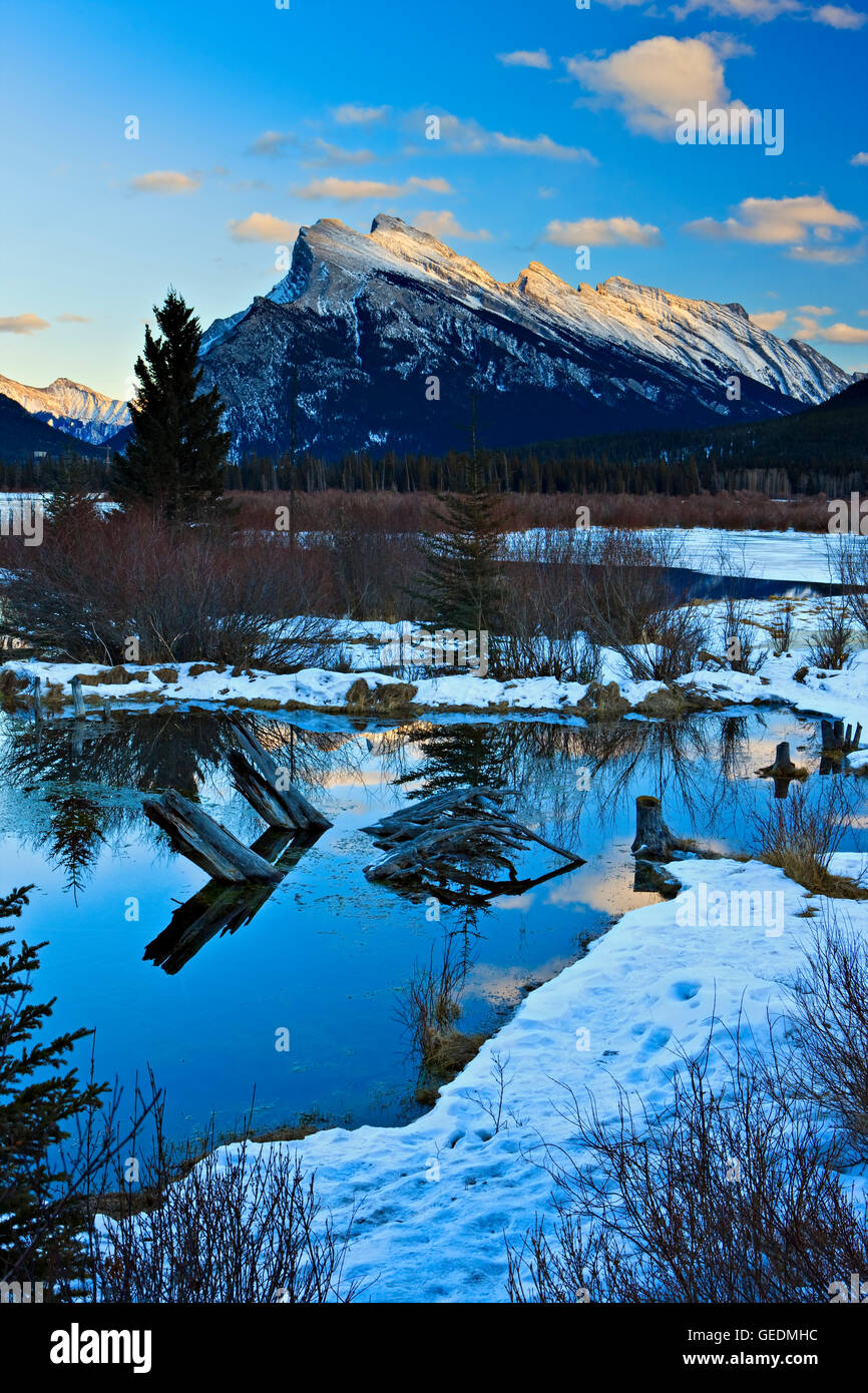 geography / travel, Canada, Alberta, 4 km W of Banff, Tree stumps in ...
