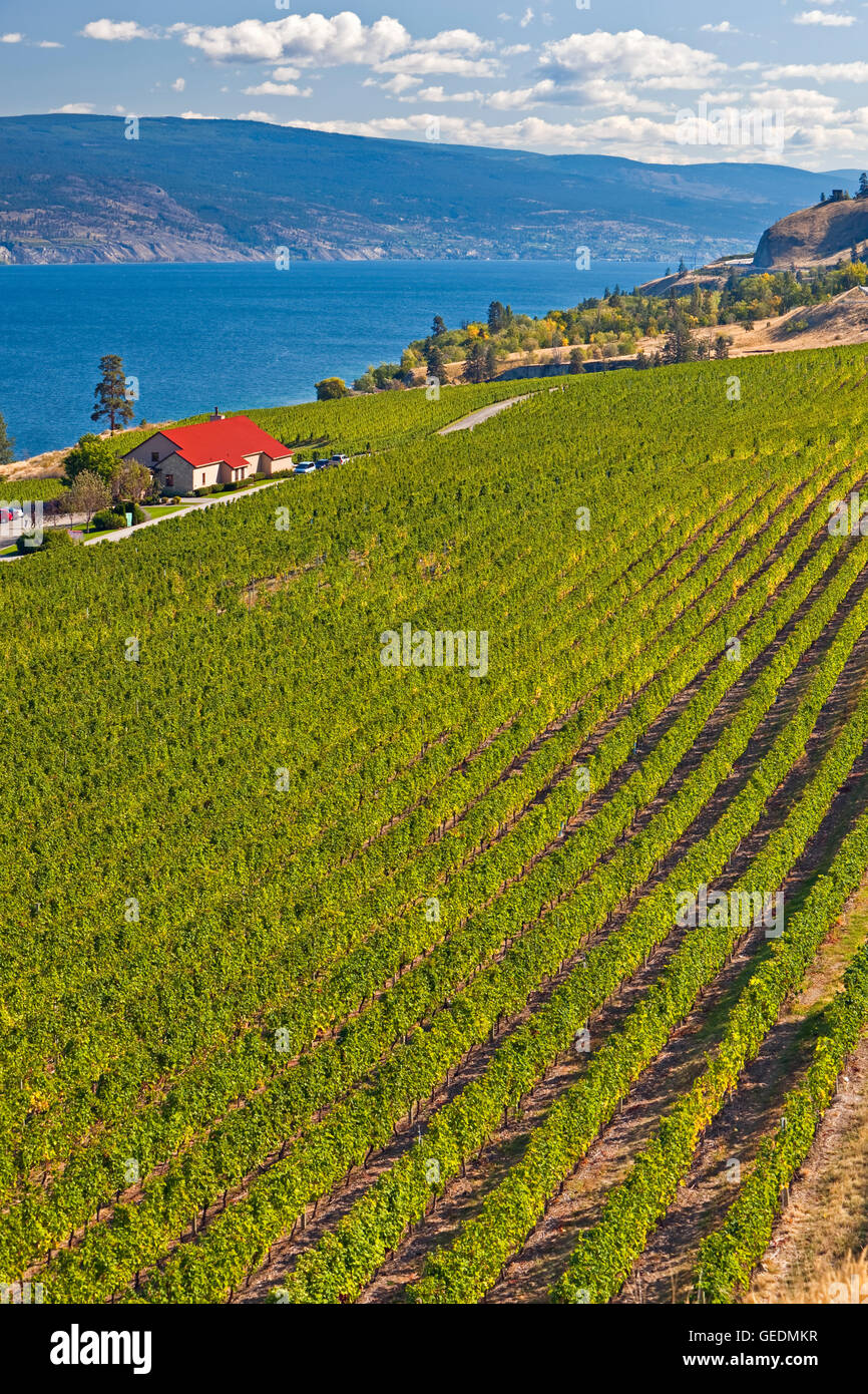 Greata ranch estate winery hi-res stock photography and images - Alamy