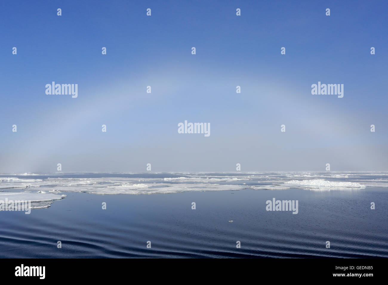 Fog Bow over the arctic pack ice Stock Photo - Alamy