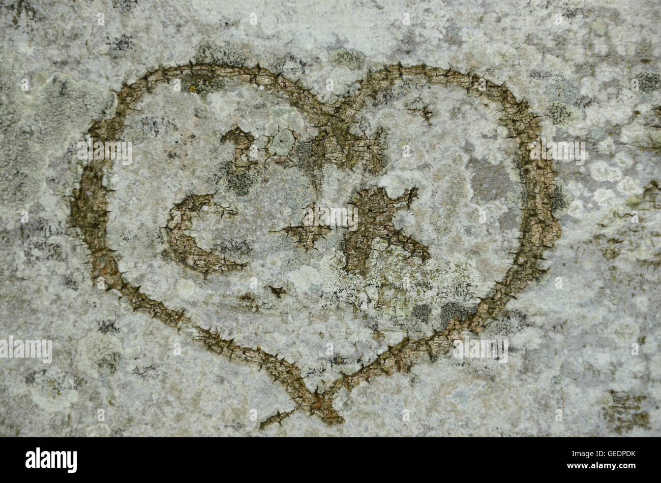 Love signs in the forest, heart with first letters of humans in love ...