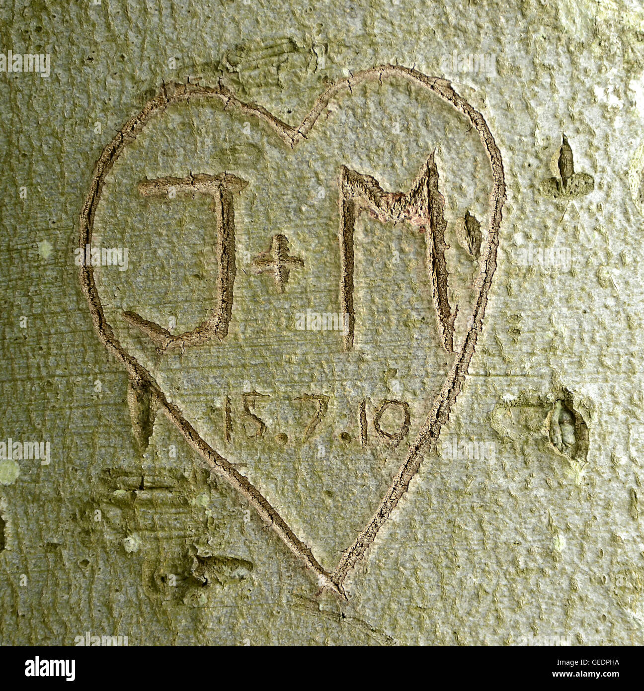 Love signs in the forest, heart with first letters of humans in love ...