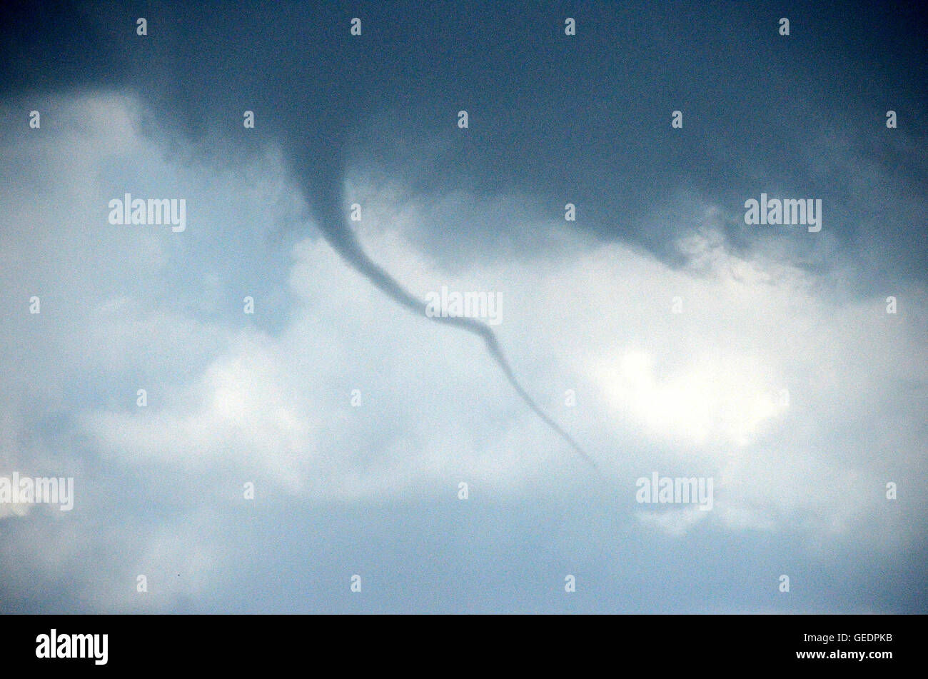 Elephant Trunk Tornado