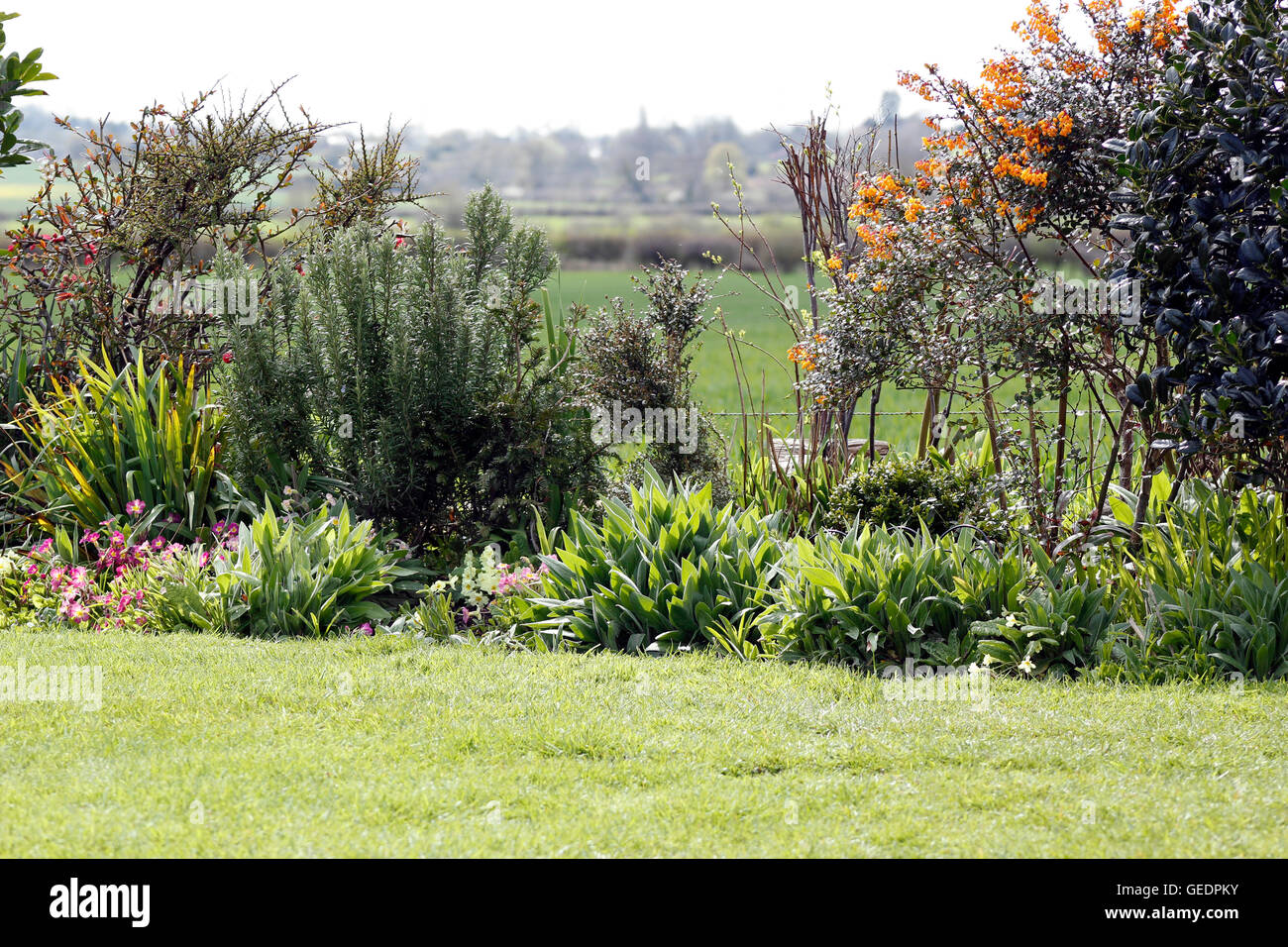 Summer herbaceous border in English countryside garden Stock Photo - Alamy