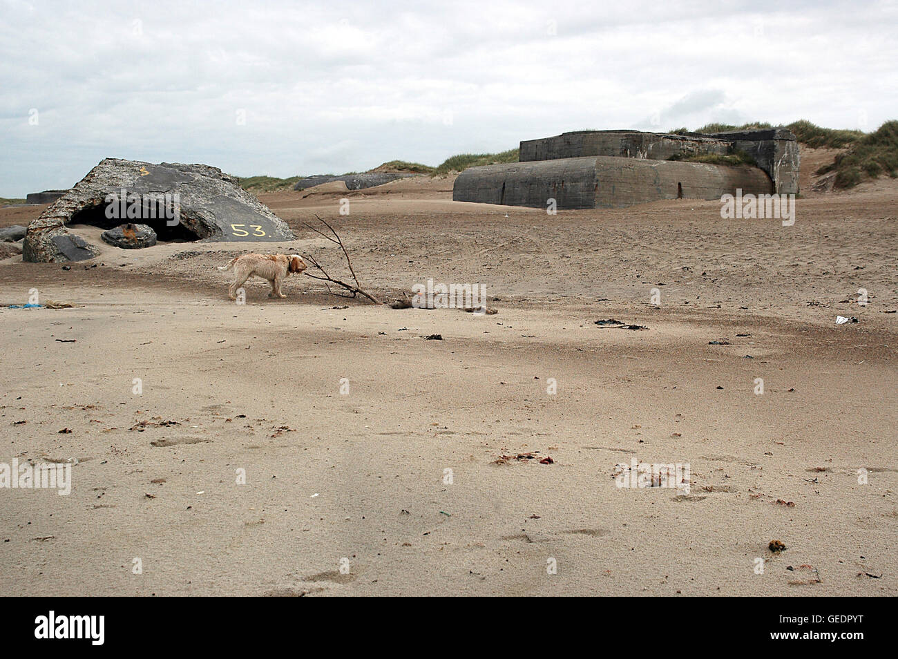 Ww2 remains hi-res stock photography and images - Alamy