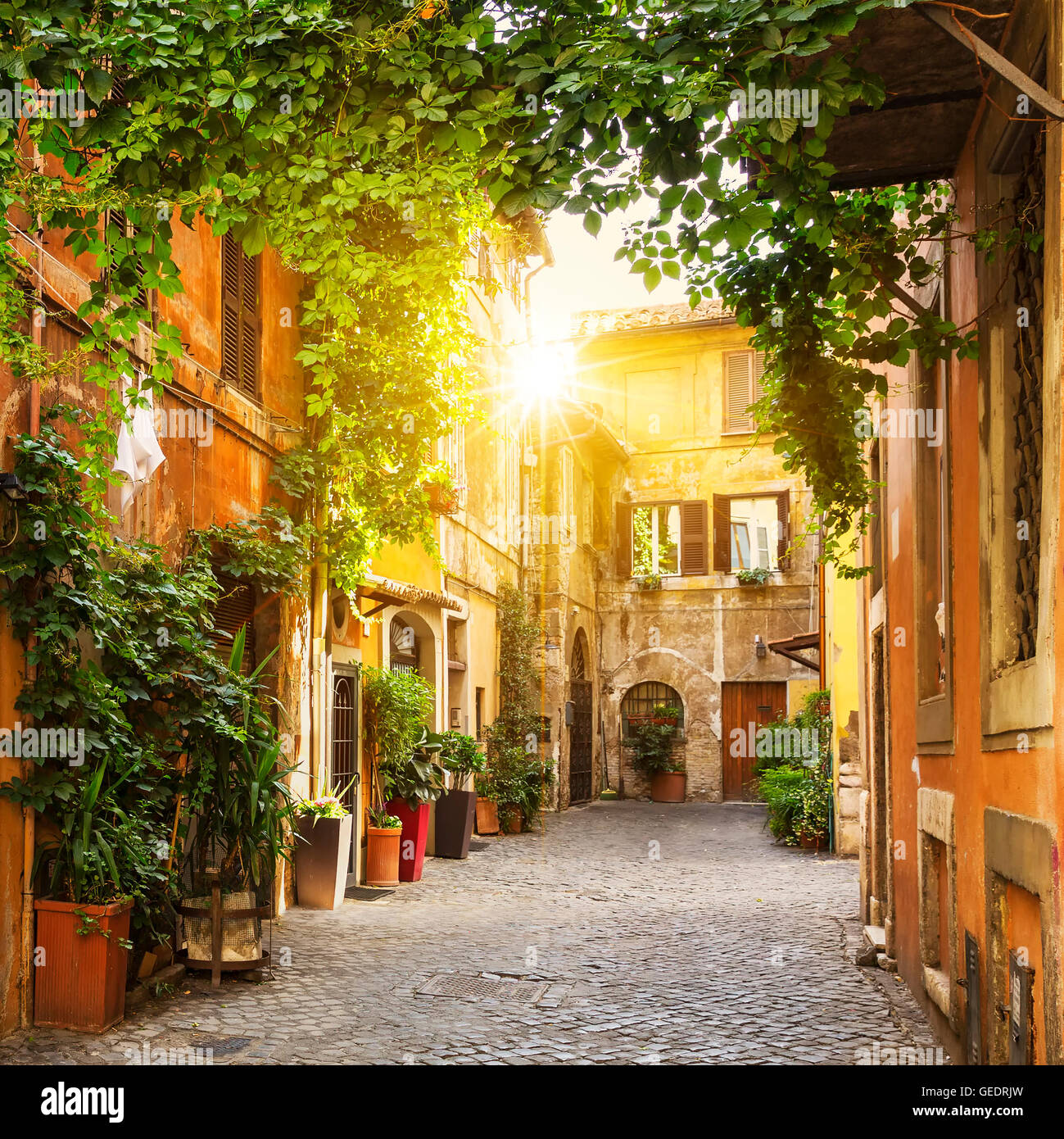 View of Old street in Trastevere in Rome, Italy Stock Photo - Alamy