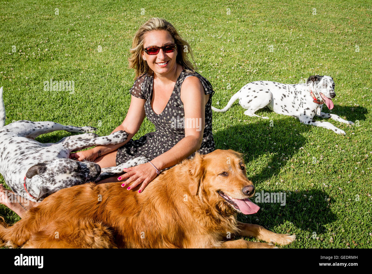 Pets animals hi-res stock photography and images - Alamy