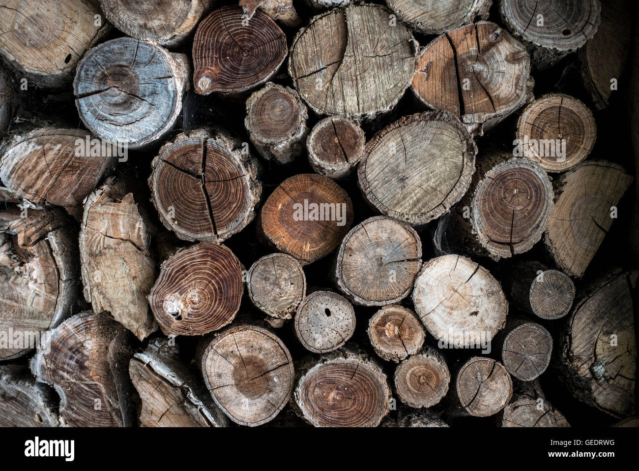 Stack of Logs Stock Photo - Alamy