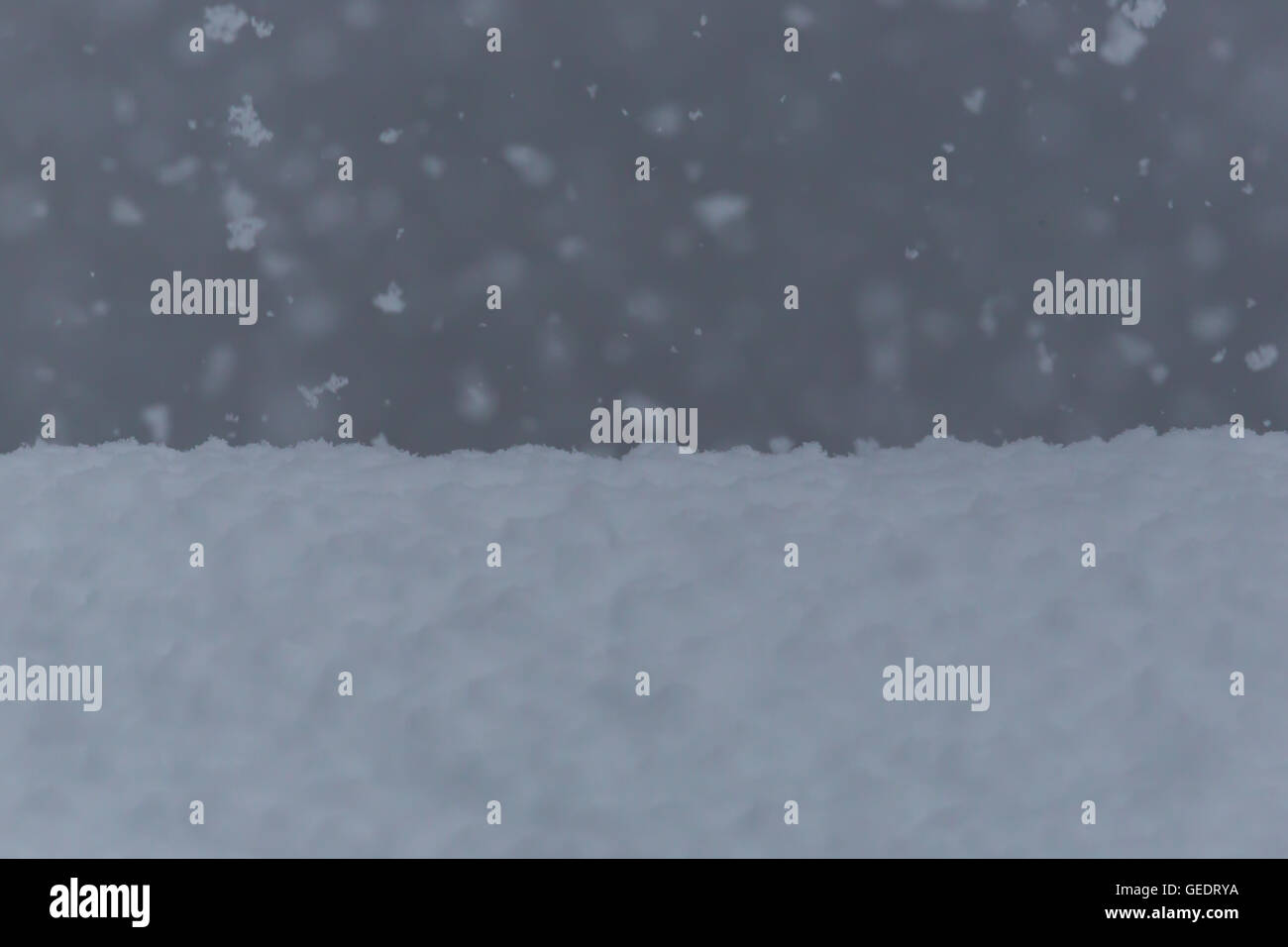 Snowfall in winter on a grey day Stock Photo - Alamy