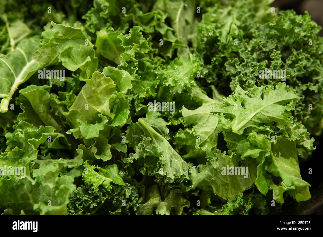 Color up kale hi-res stock photography and images - Alamy