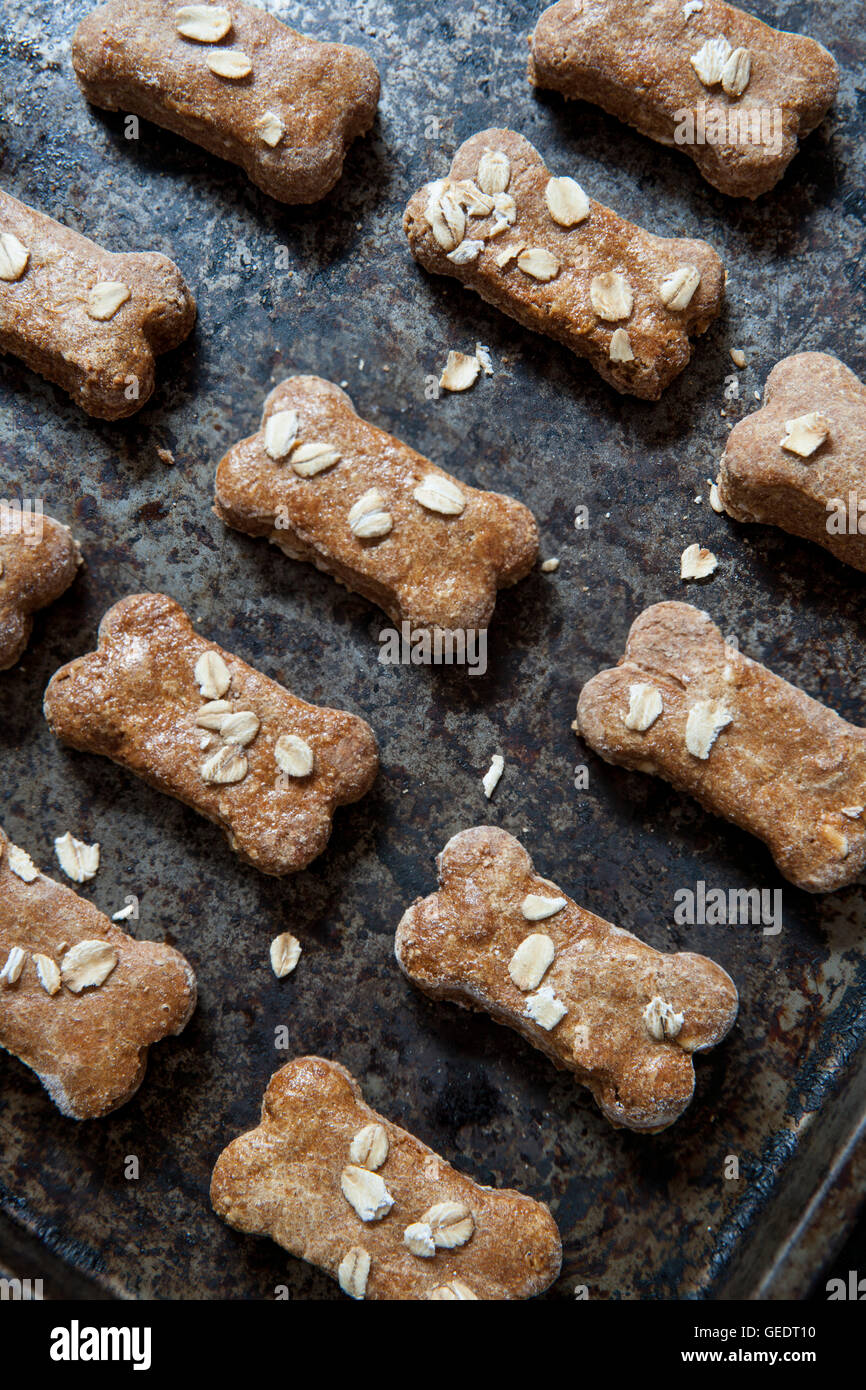 Baking dog biscuits hi-res stock photography and images - Alamy