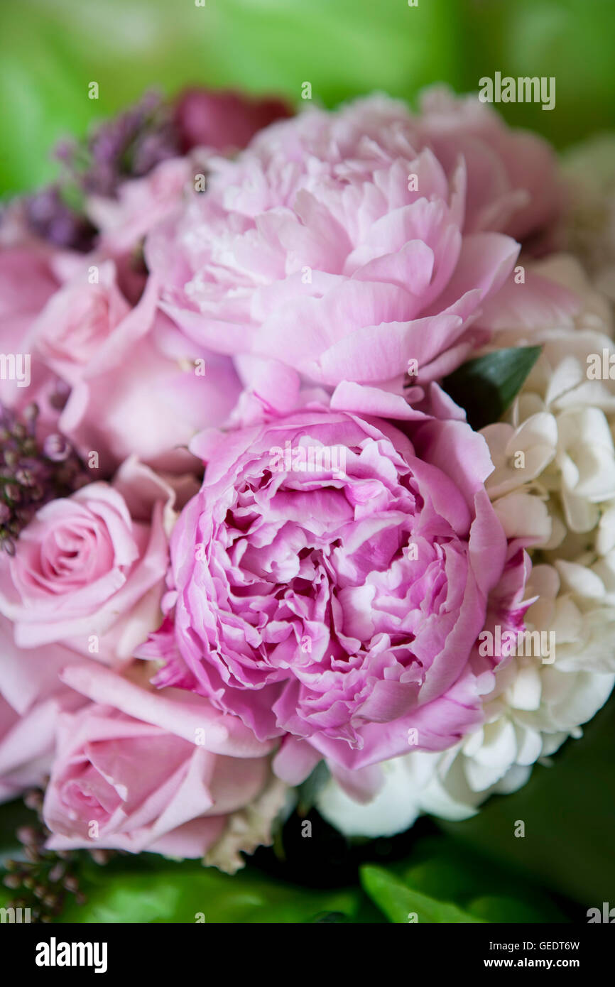 Ruffled flowers hi-res stock photography and images - Alamy