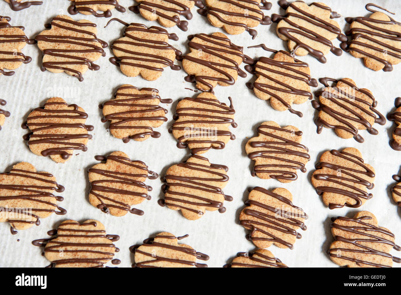 Graham Cracker Cookies Drizzled with Chocolate Stock Photo - Alamy