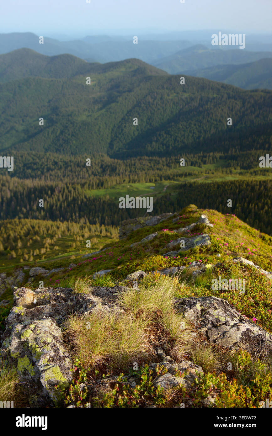 rock lit morning sunlight in the Carpathian Mountains Stock Photo - Alamy