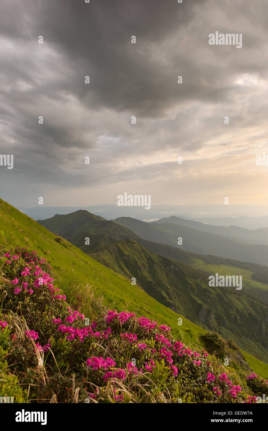 Thunderstorm landscape hi-res stock photography and images - Alamy