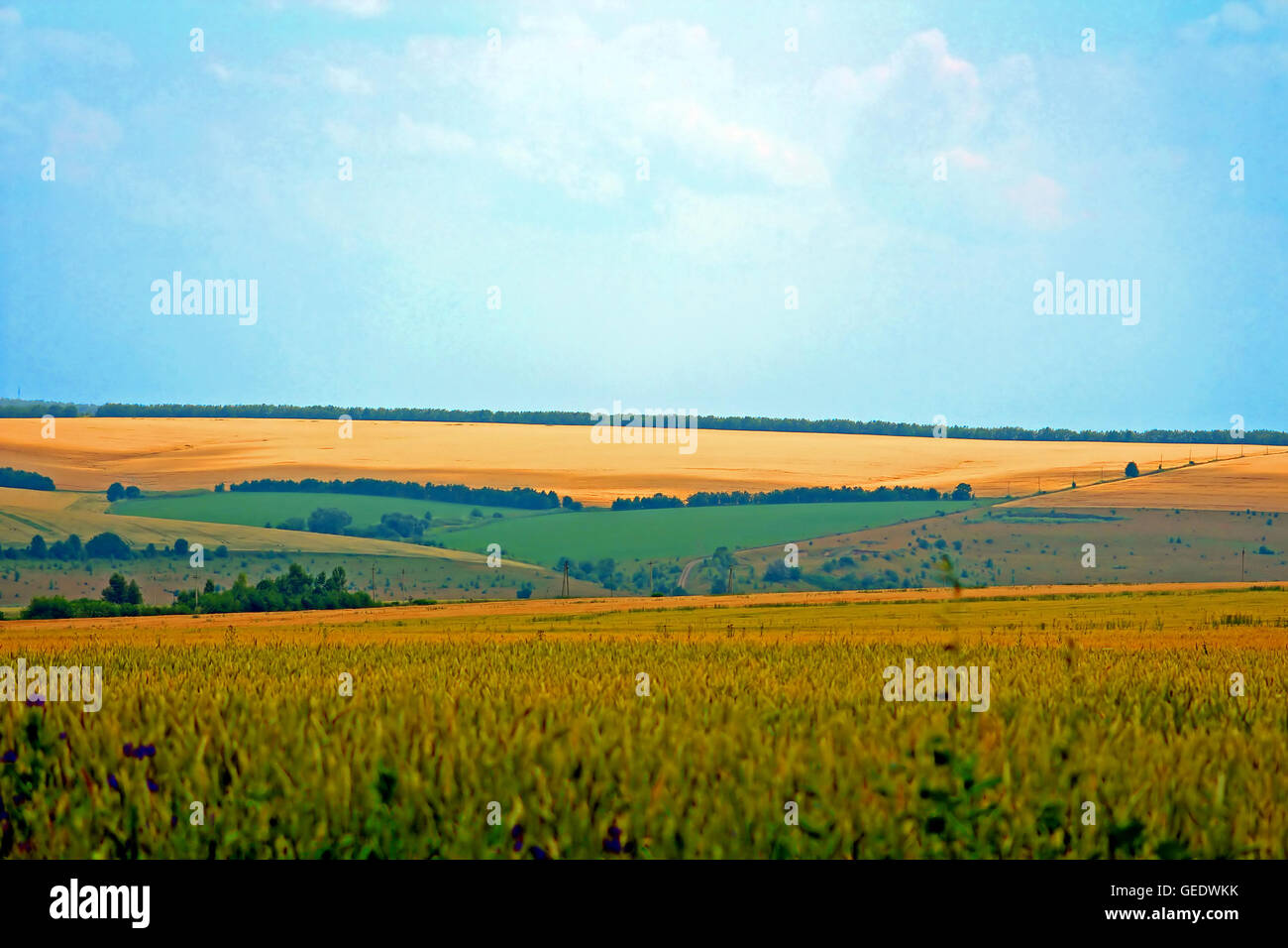 Fields and blue sky. Ukraine Stock Photo - Alamy