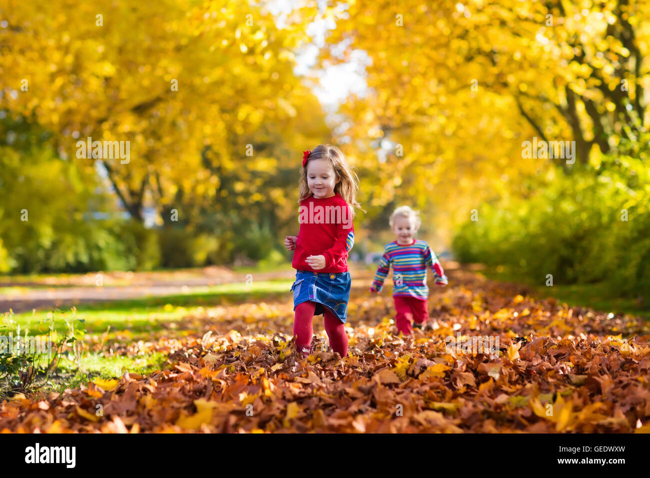 Happy children playing in beautiful autumn park on warm sunny fall day ...