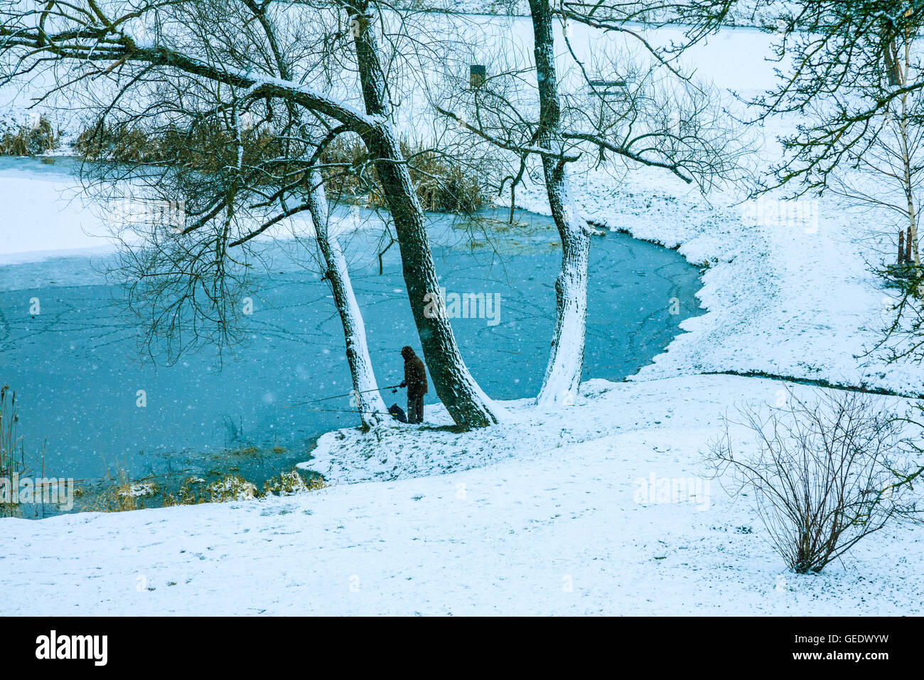 Winter snowy landscape with frozen lake and tree Stock Photo - Alamy