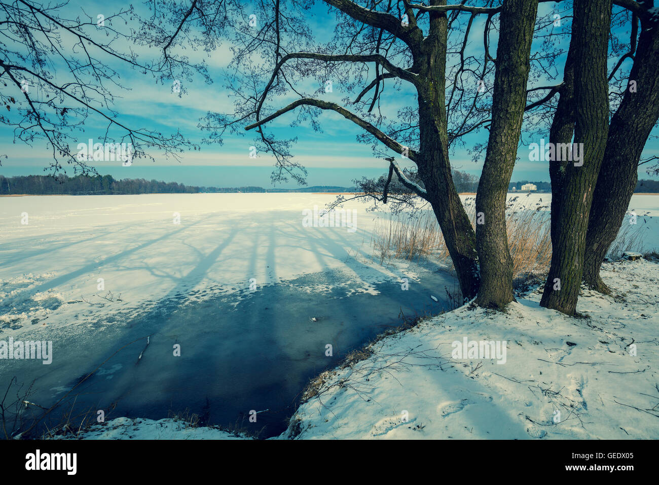 Winter snowy landscape with frozen lake and tree Stock Photo - Alamy