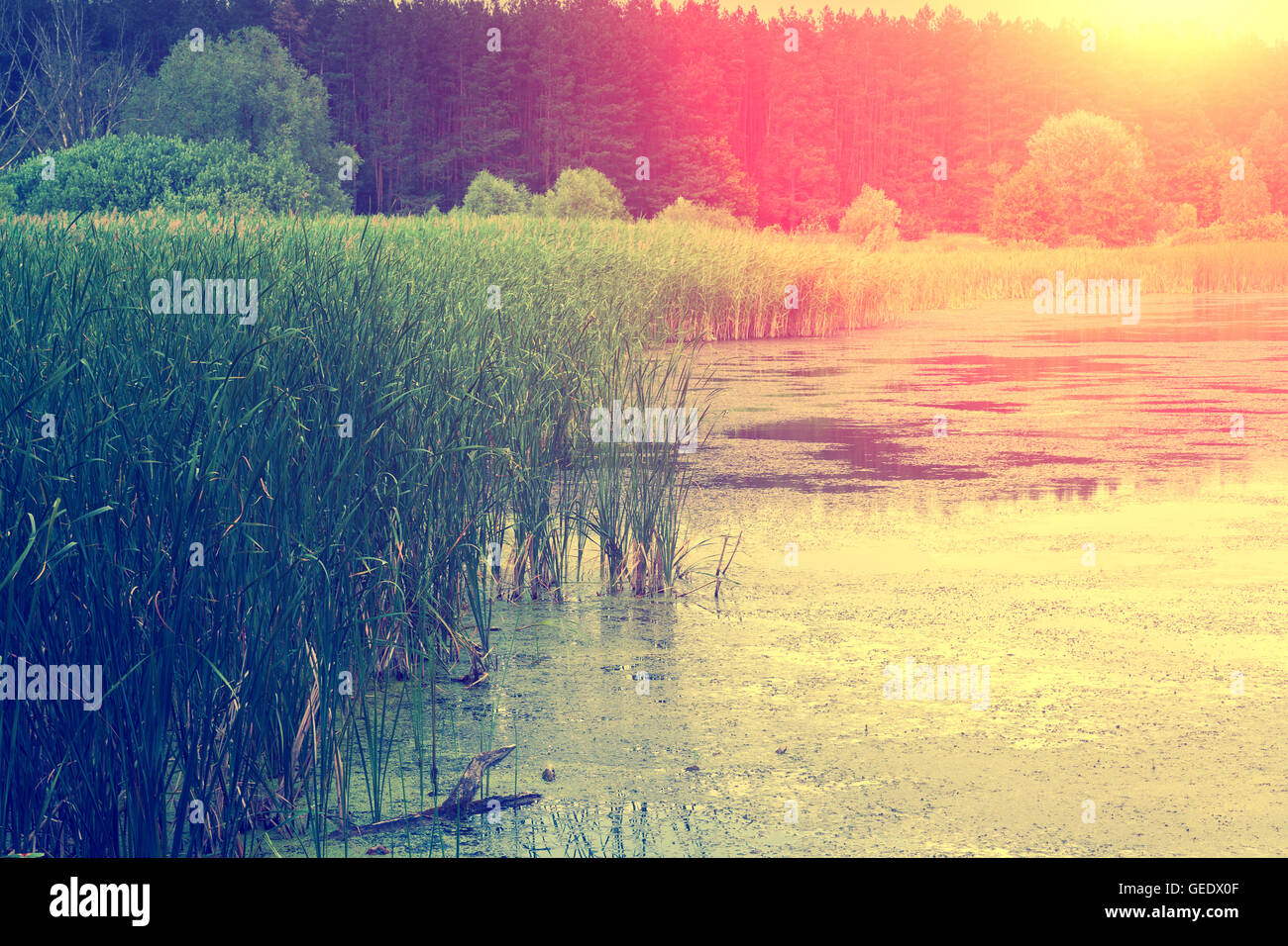 Riverbank landscapes hi-res stock photography and images - Alamy