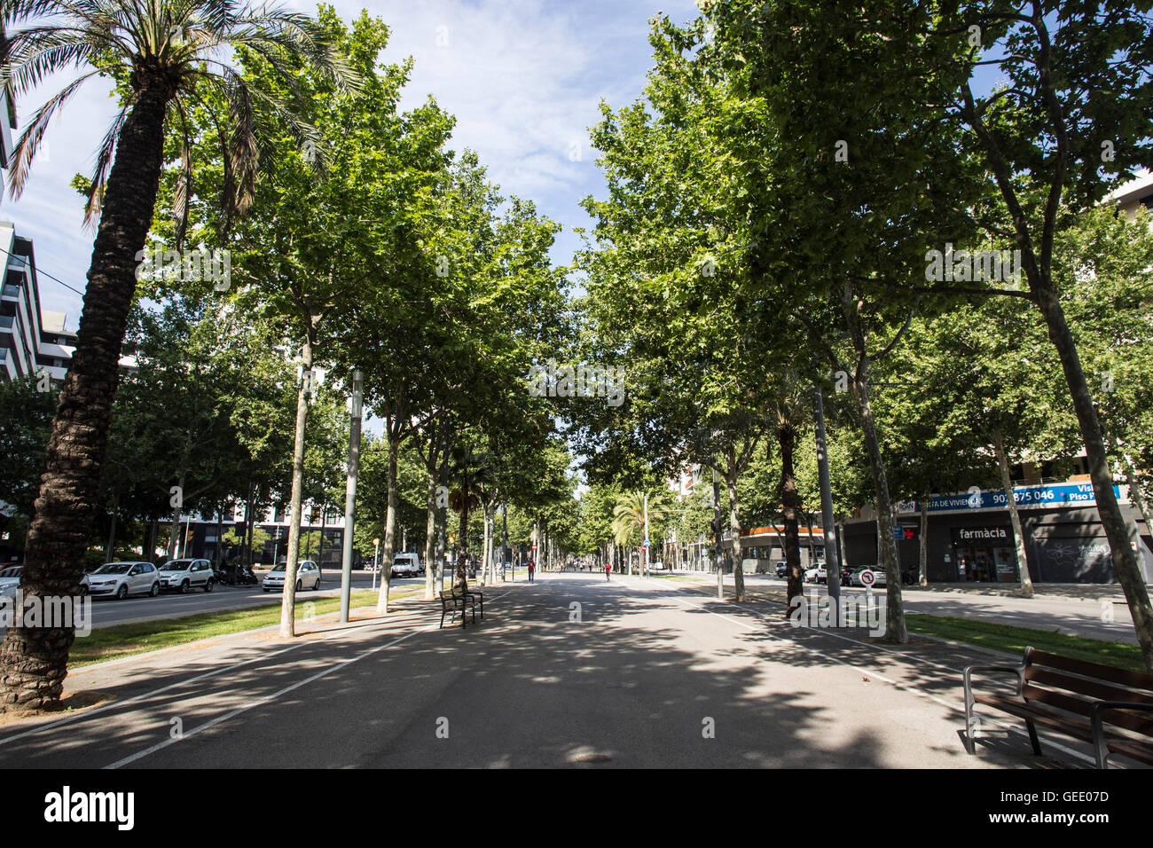 Avinguda diagonal hi-res stock photography and images - Alamy