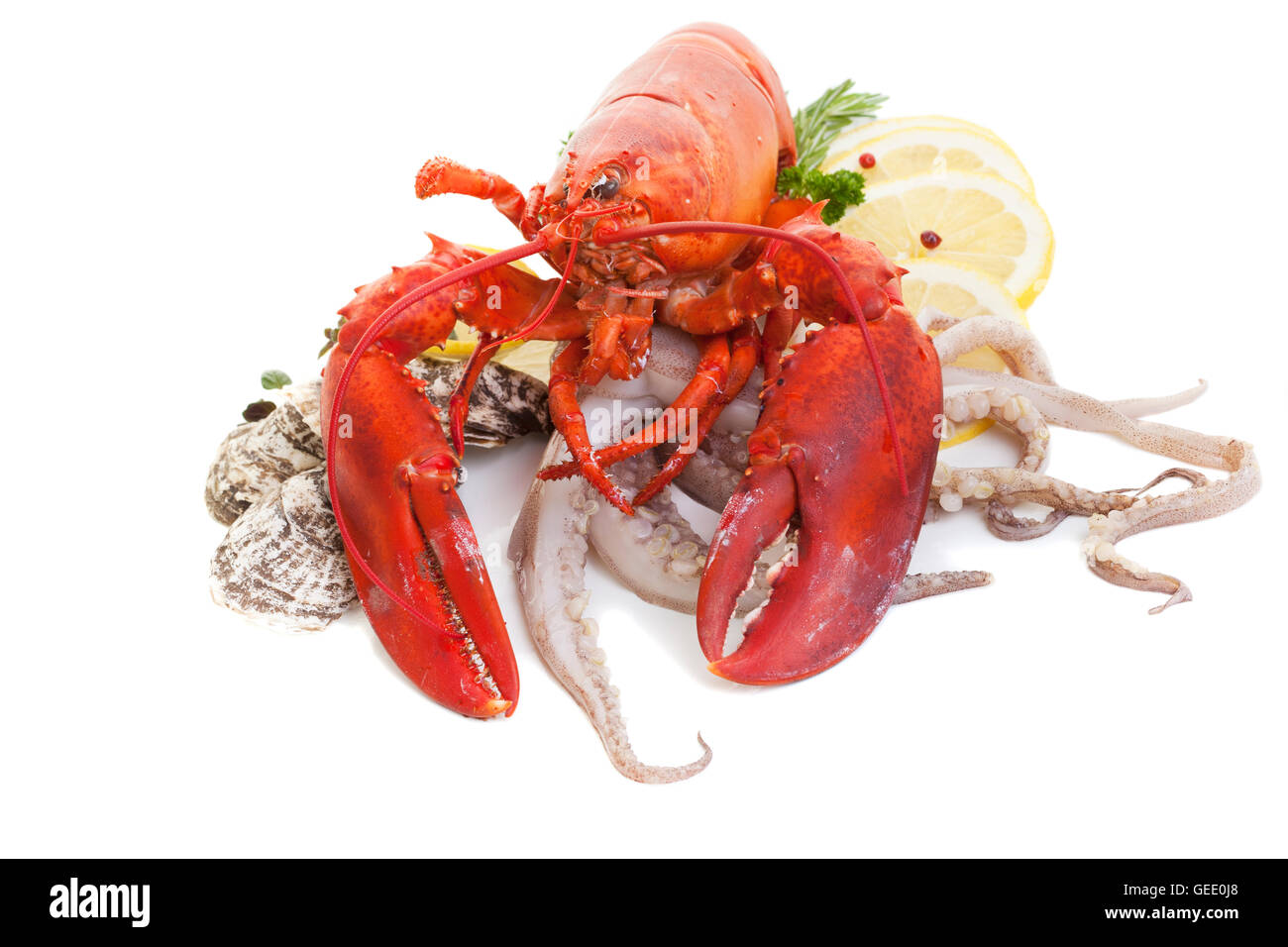 Lobster fish hi-res stock photography and images - Alamy