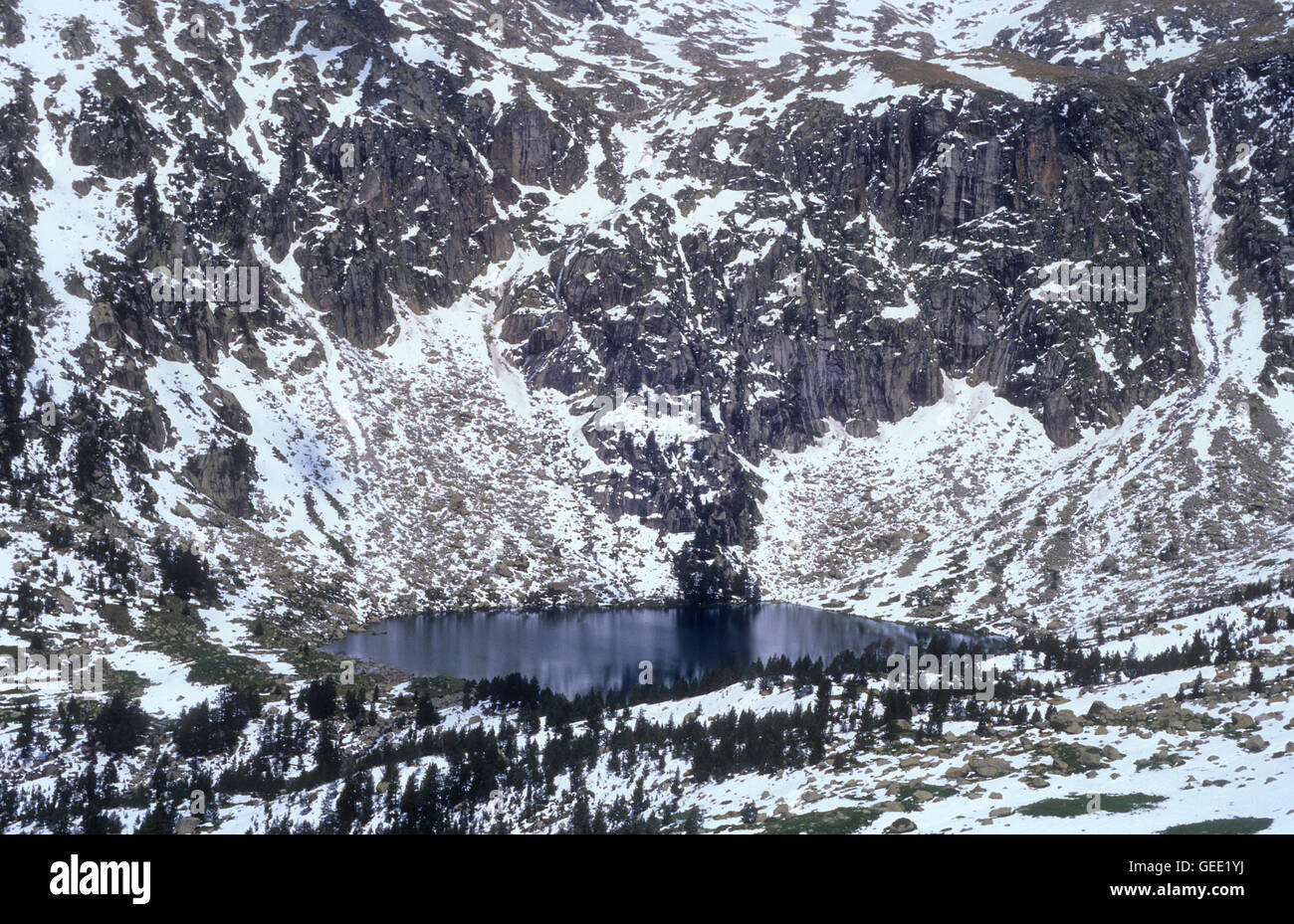 Rio grand national forest hi-res stock photography and images - Alamy