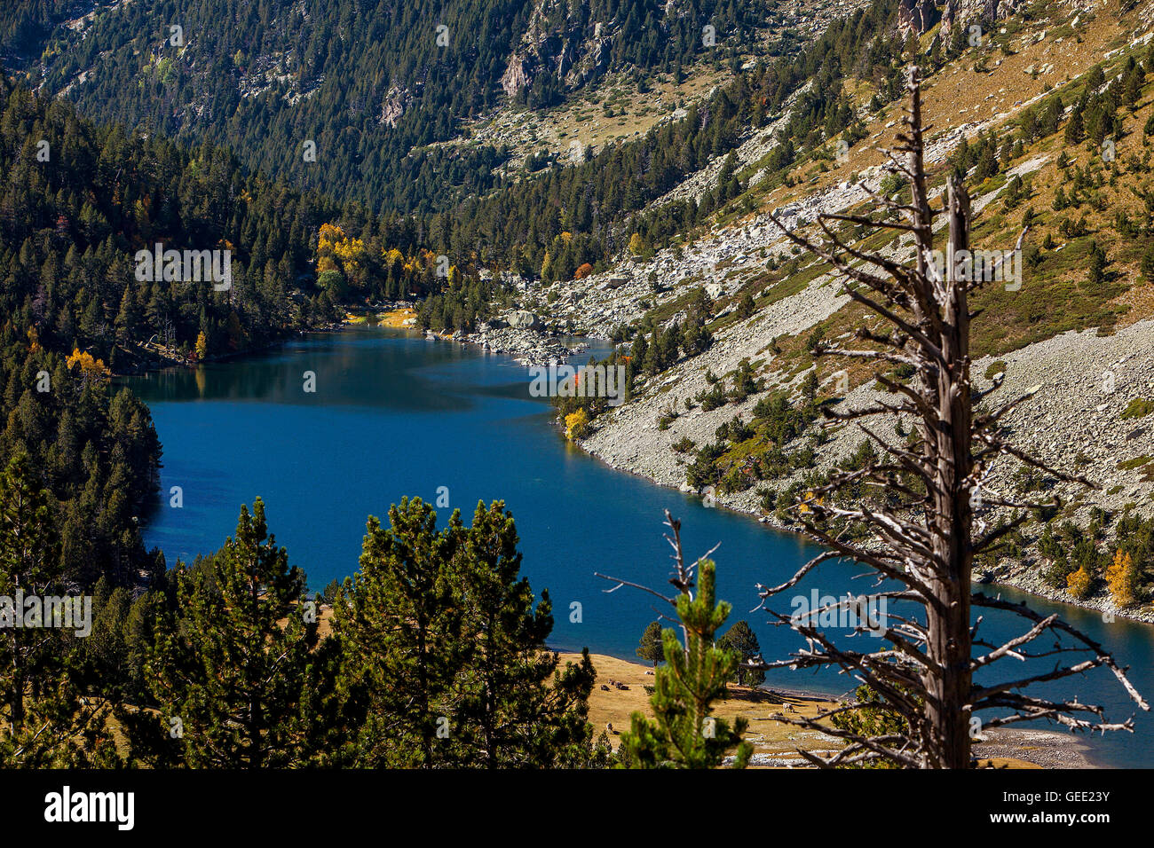 Parque nacional de aiguestortes i estany de san maurici hi-res stock ...