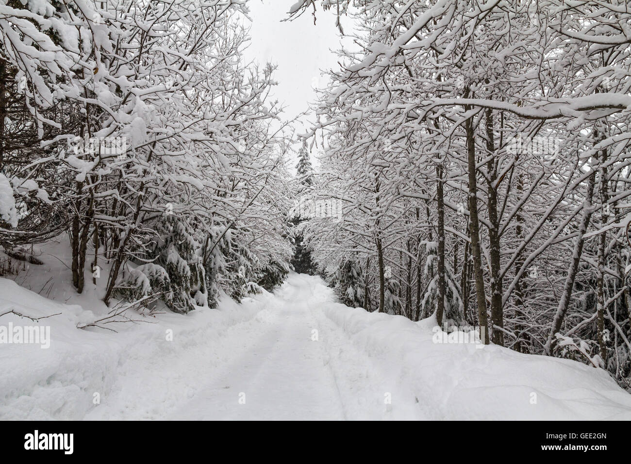 Corridor trail hi-res stock photography and images - Alamy