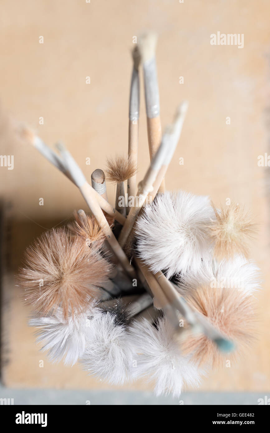 Bristle view hi-res stock photography and images - Alamy