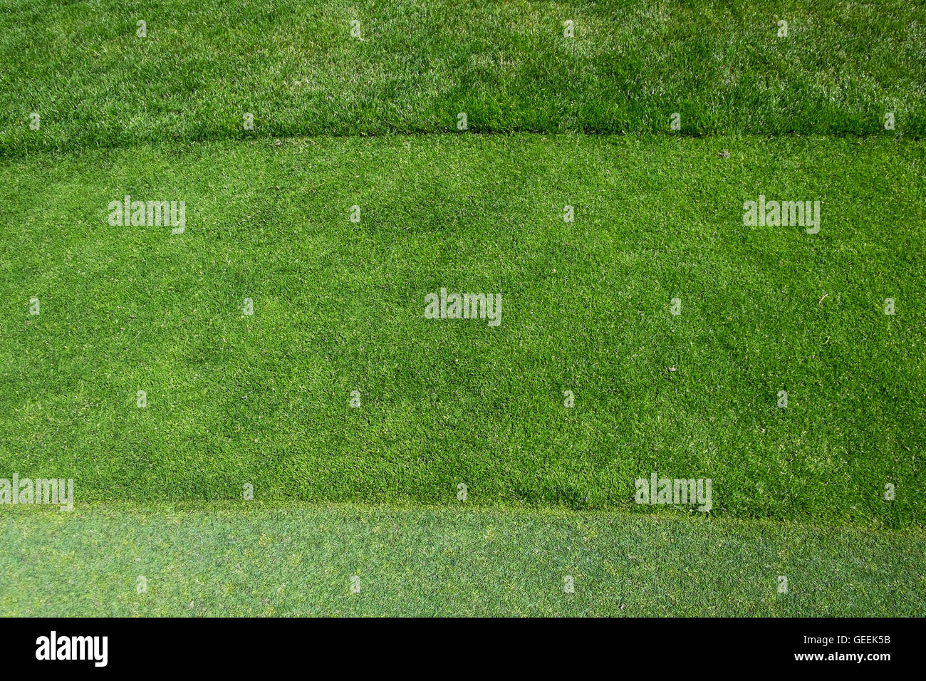 Closeup on the golf course of the green, fringe, and rough Stock Photo ...