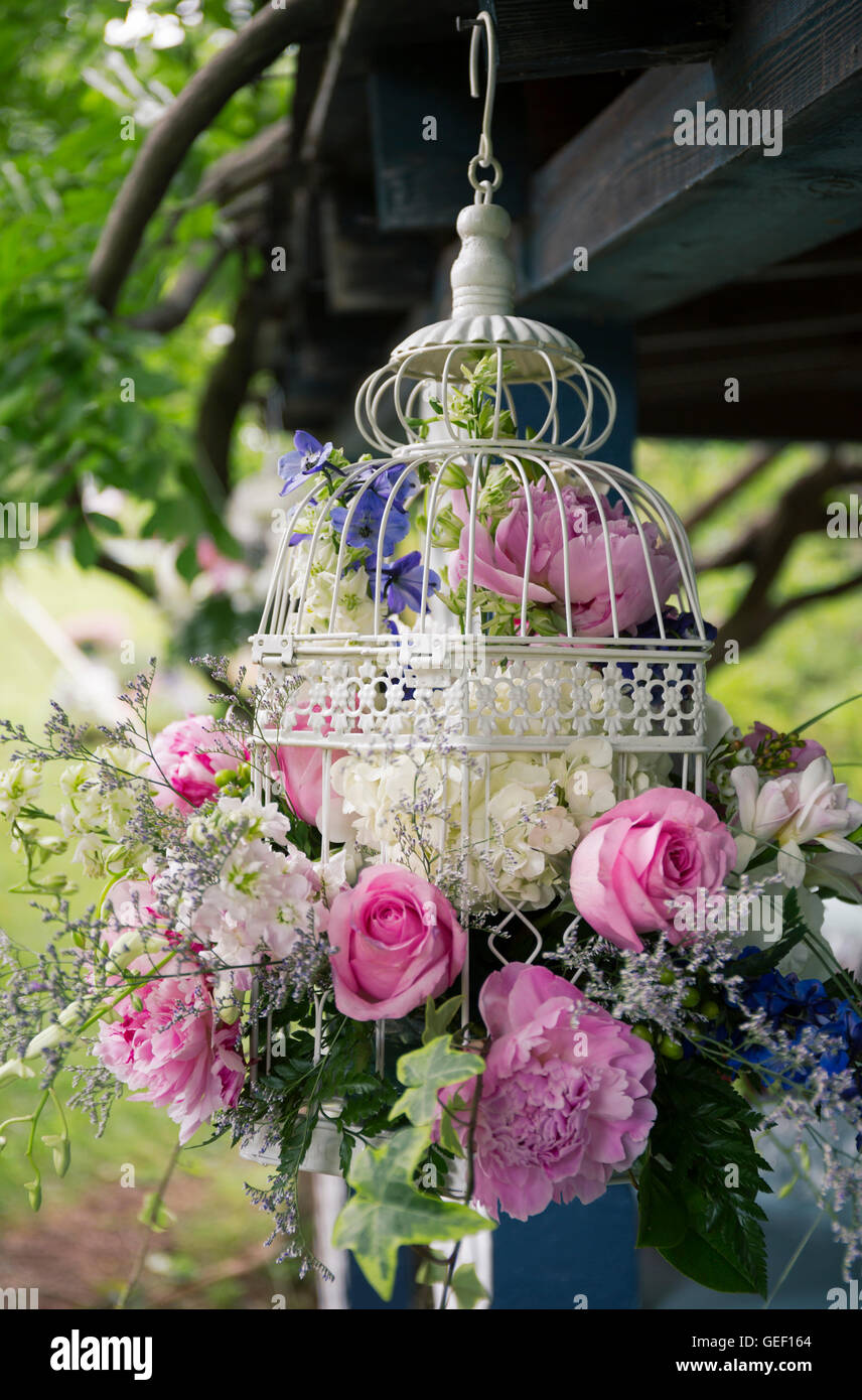 Pink roses and peonies in a white bird cage Stock Photo - Alamy