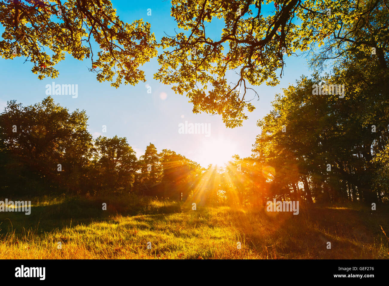 Lens flare effect hi-res stock photography and images - Alamy