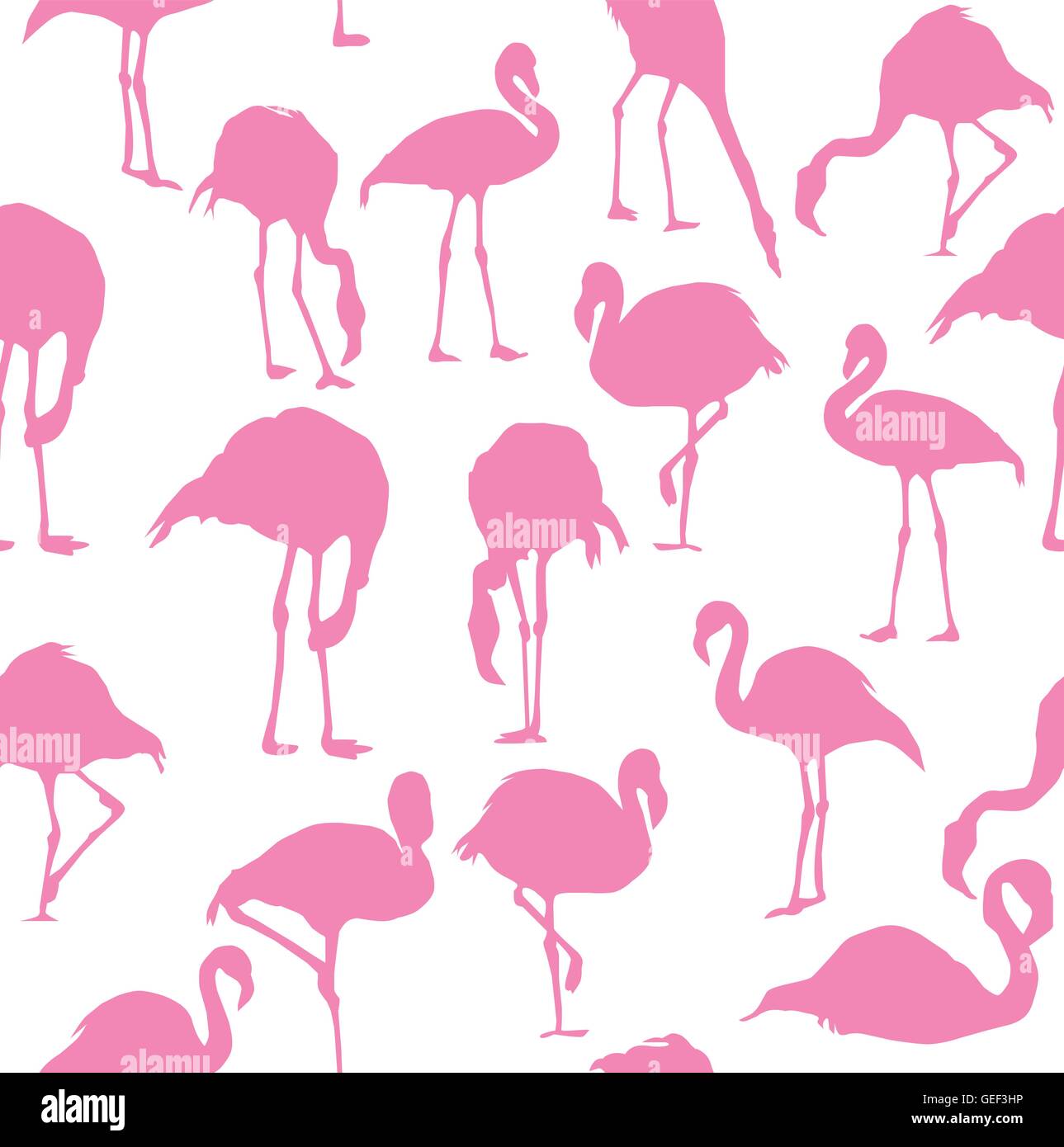 vector illustration of flamingo seamless background Stock Vector Image ...