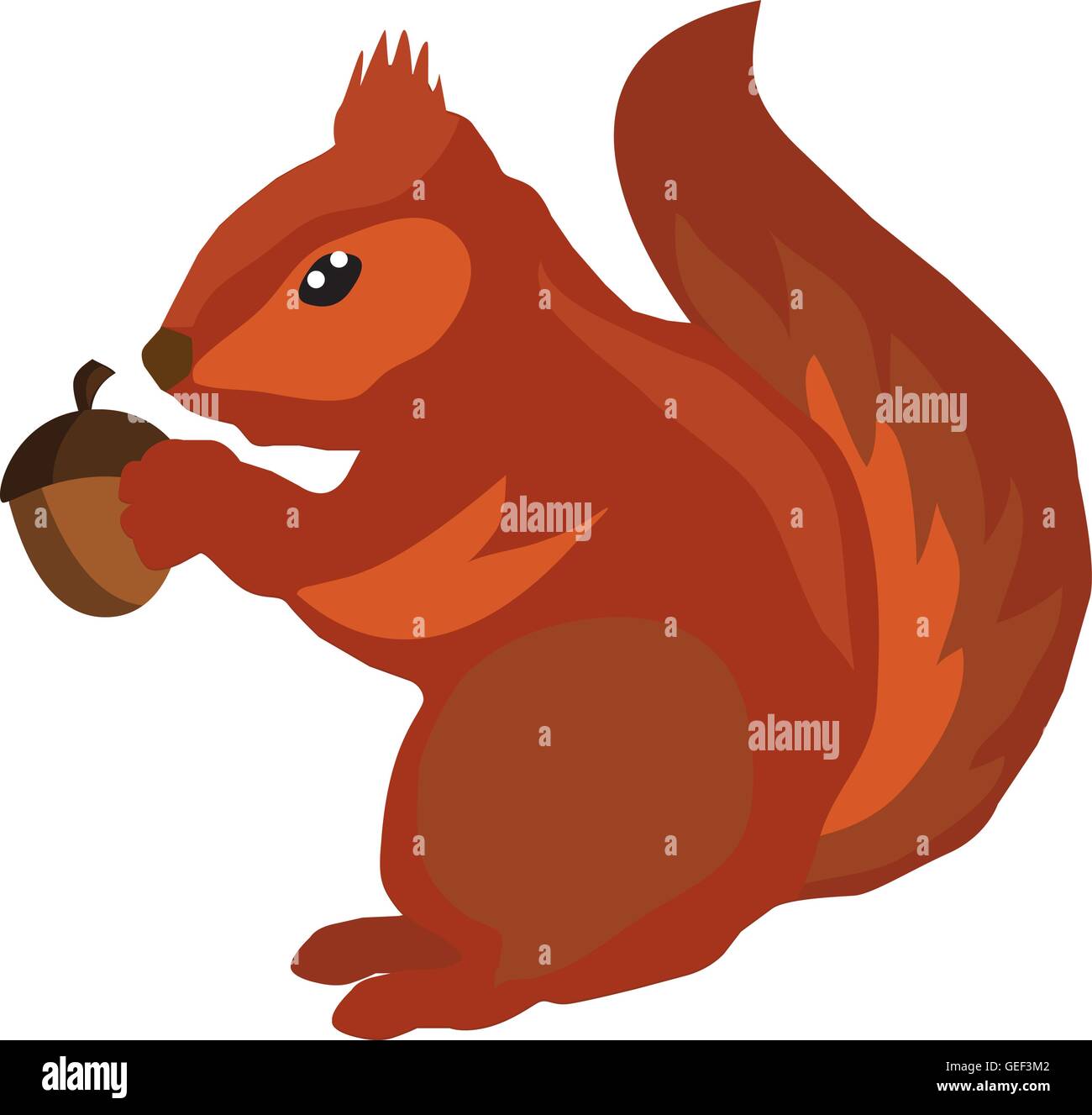 vector illustration of a squirrel with an acorn Stock Vector Image ...