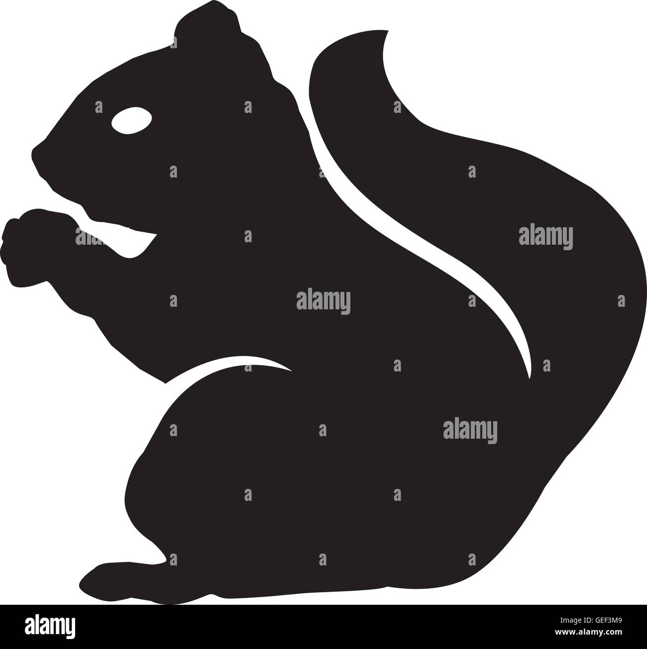 vector illustration of a squirrel Stock Vector Image & Art - Alamy
