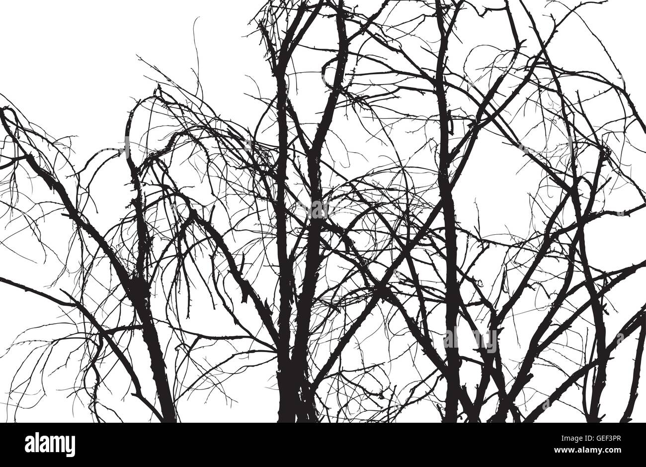 vector illustration of tree branches background Stock Vector Image ...
