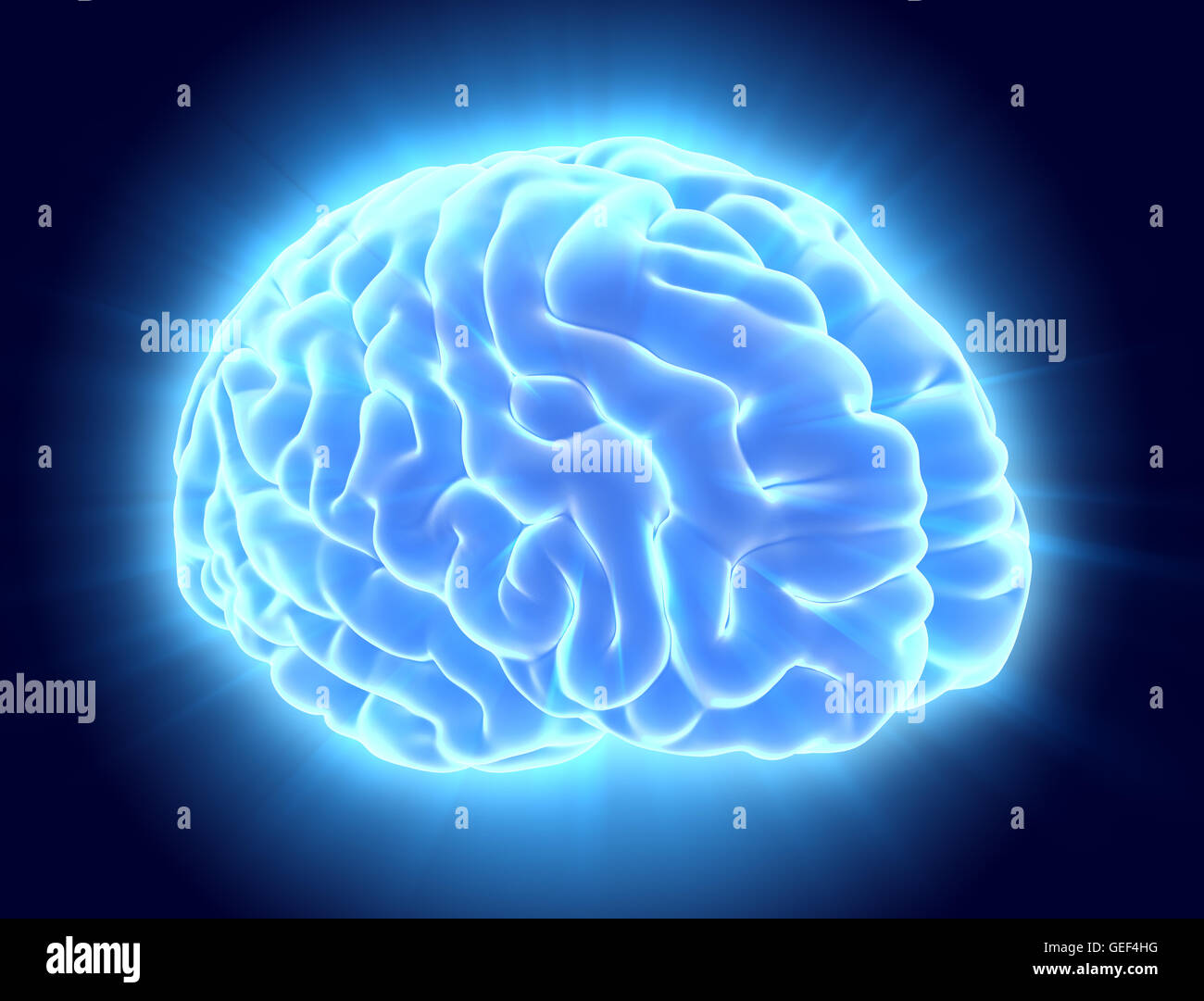 3D illustration of bright blue brain, anatomy and medical concept Stock ...