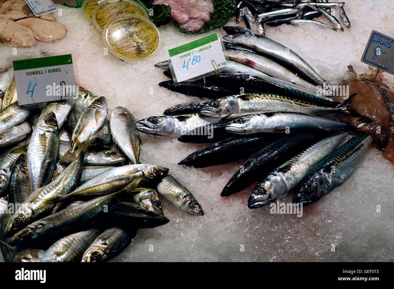 Fish fill hi-res stock photography and images - Alamy