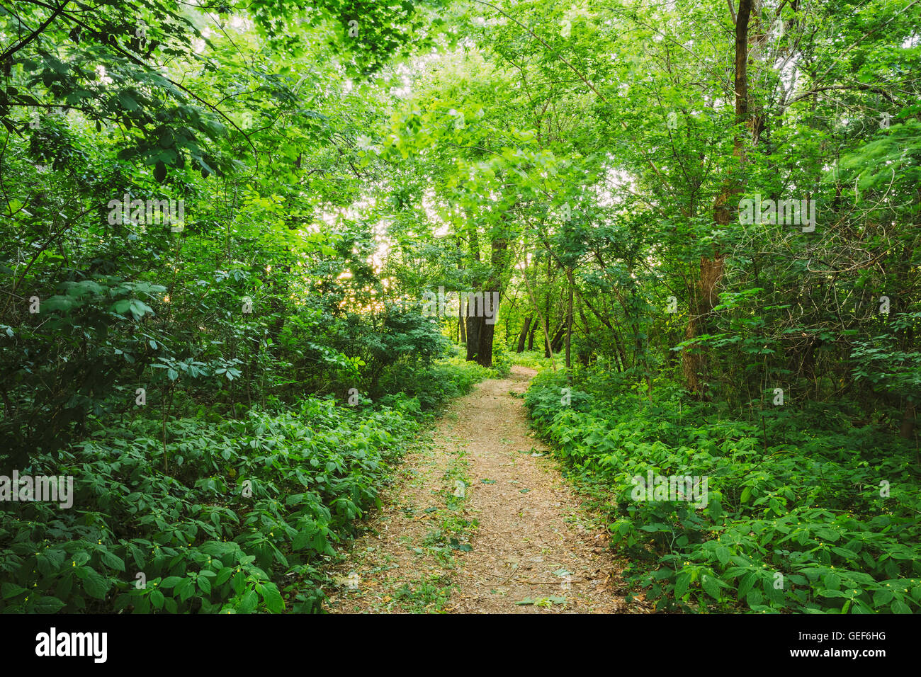 Thick growth hi-res stock photography and images - Alamy