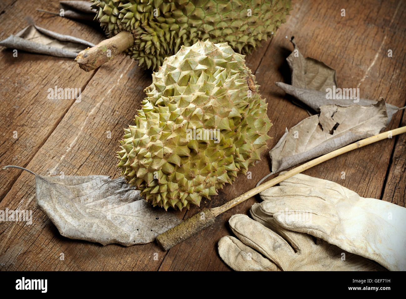 Durians king fruit asia hi-res stock photography and images - Alamy