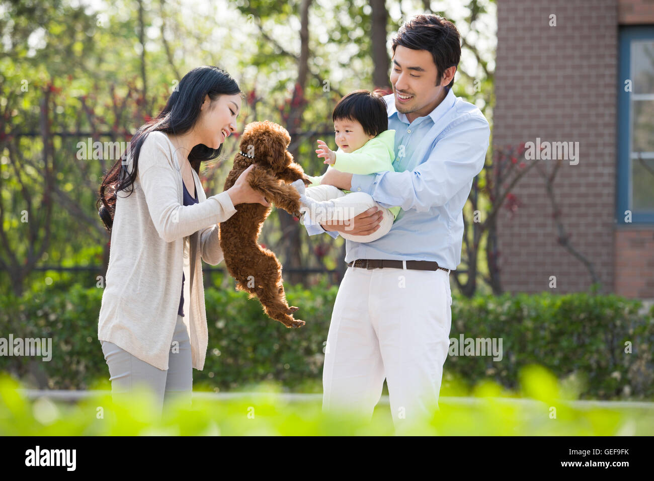 Happy young Chinese family with their pet dog Stock Photo - Alamy