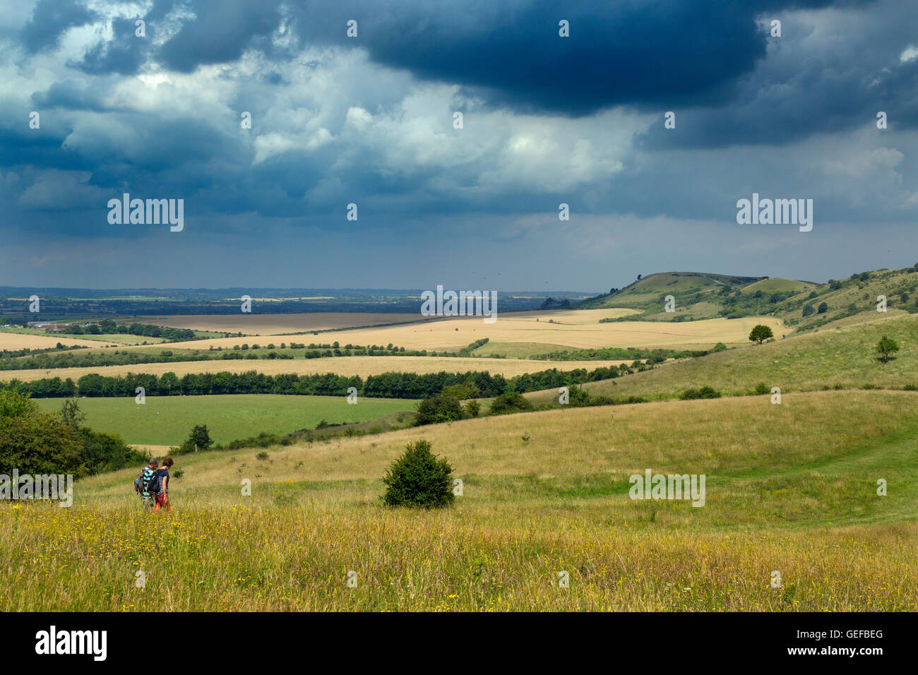 The Ridgeway Path towards its finish on Ivinghoe Beacon Bucks Stock ...