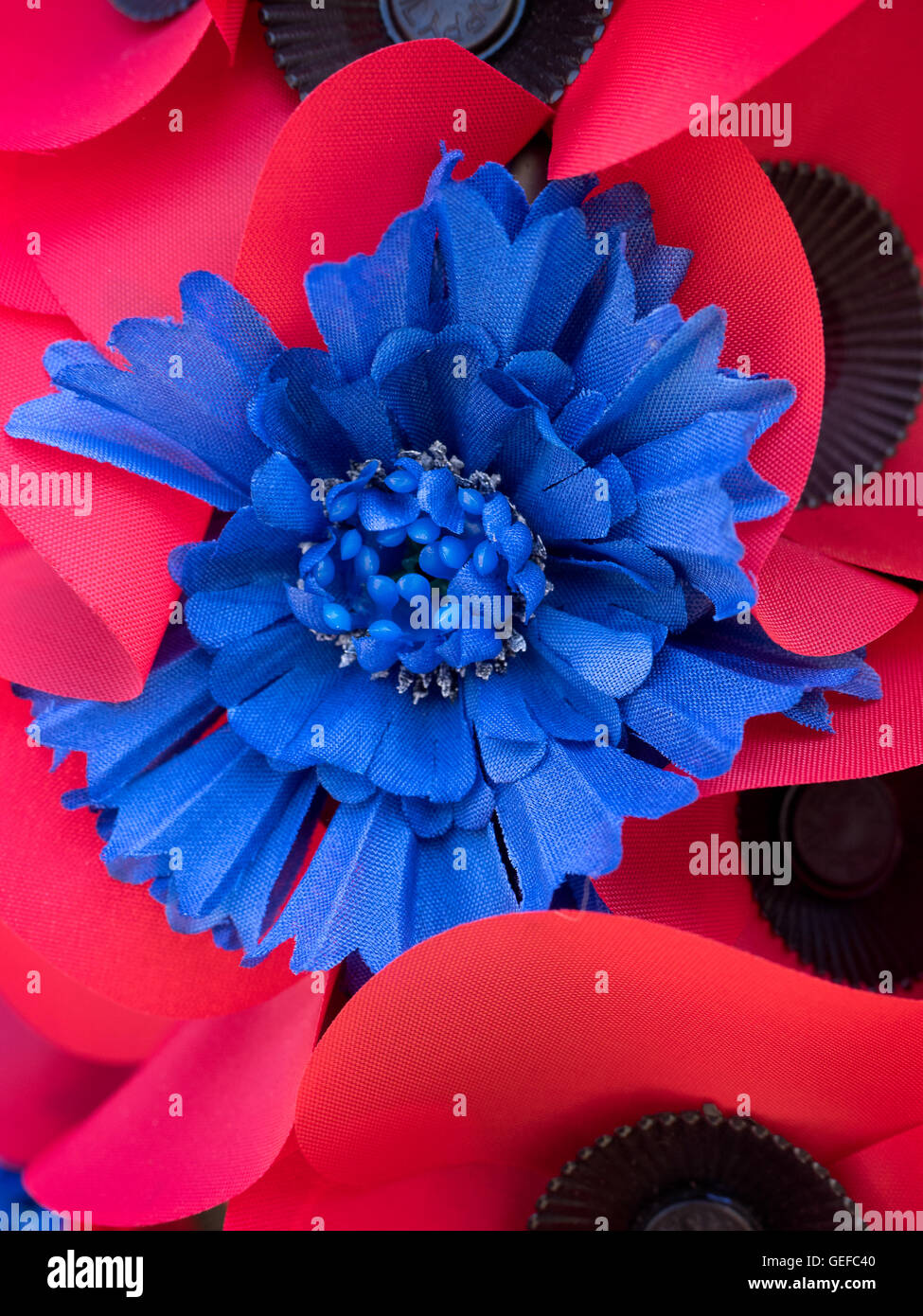 Special Poppy to Commemorate the Centenary of the Battle of the Somme ...