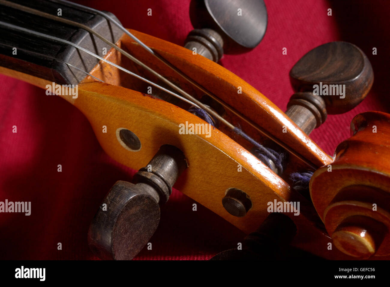 Violin colour hi-res stock photography and images - Alamy