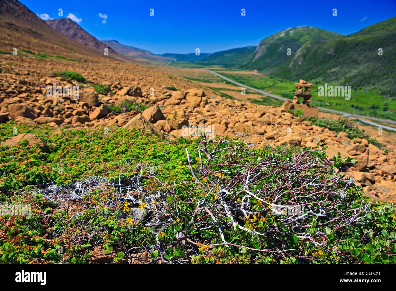 Tablelands trail in newfoundland hi-res stock photography and images ...