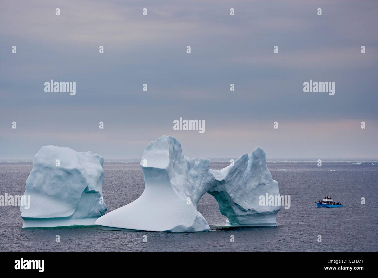 geography / travel, Canada, Newfoundland, Great Brehat, Iceberg ...