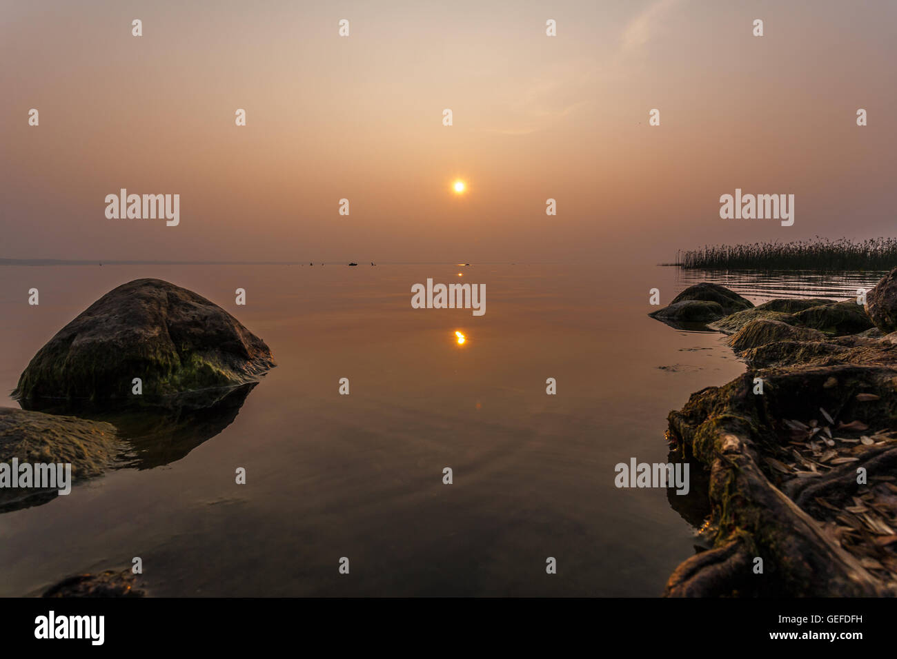 Landscape in warm colors Stock Photo - Alamy