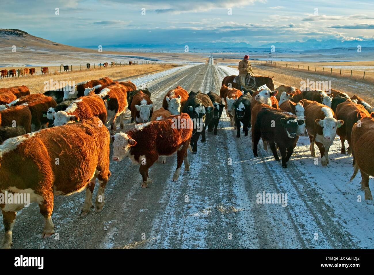 Early spring in western canada hi-res stock photography and images - Alamy